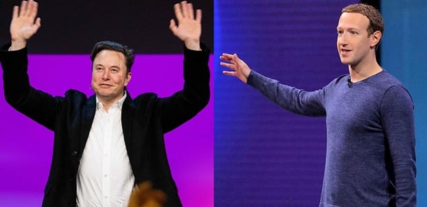 Meta vs Twitter : Mark Zuckerberg et Elon Musk prêts à s'affronter dans ...